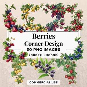 30 Berries Corner Design Clipart Pack INSTANT DOWNLOAD 30 Delightful ...