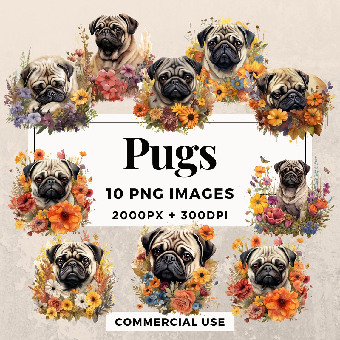 10 Pugs Clipart Pack INSTANT DOWNLOAD 10 Adorable Pug - Etsy