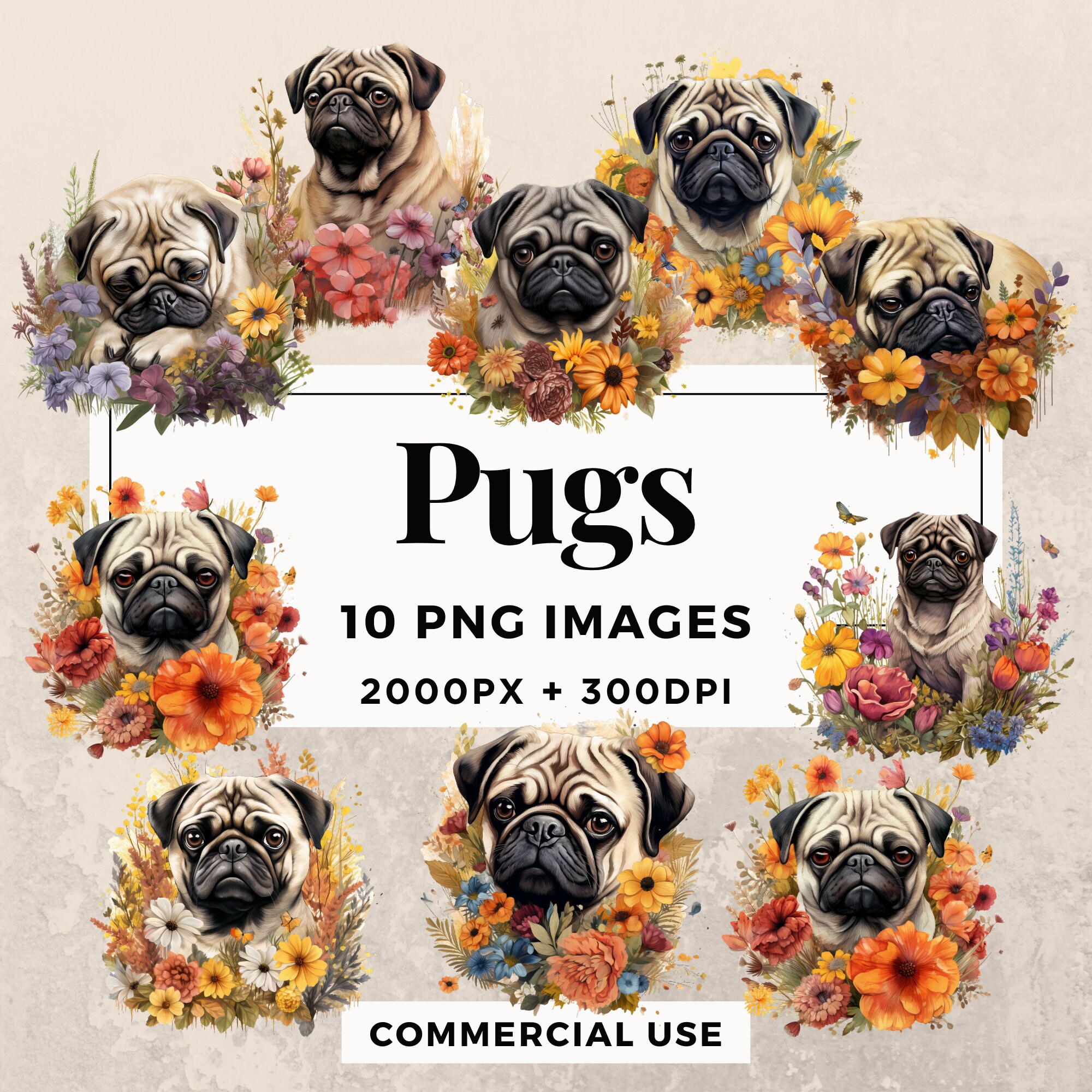 10 Pugs Clipart Pack INSTANT DOWNLOAD 10 Adorable Pug - Etsy