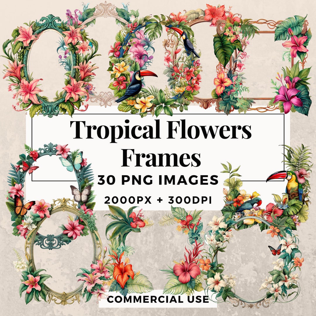 30 Tropical Flowers Frames Clipart Pack - INSTANT DOWNLOAD, PNG ...