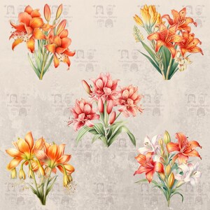 10 Ginger Lily Flowers Clipart Pack INSTANT DOWNLOAD 10 Exquisite ...
