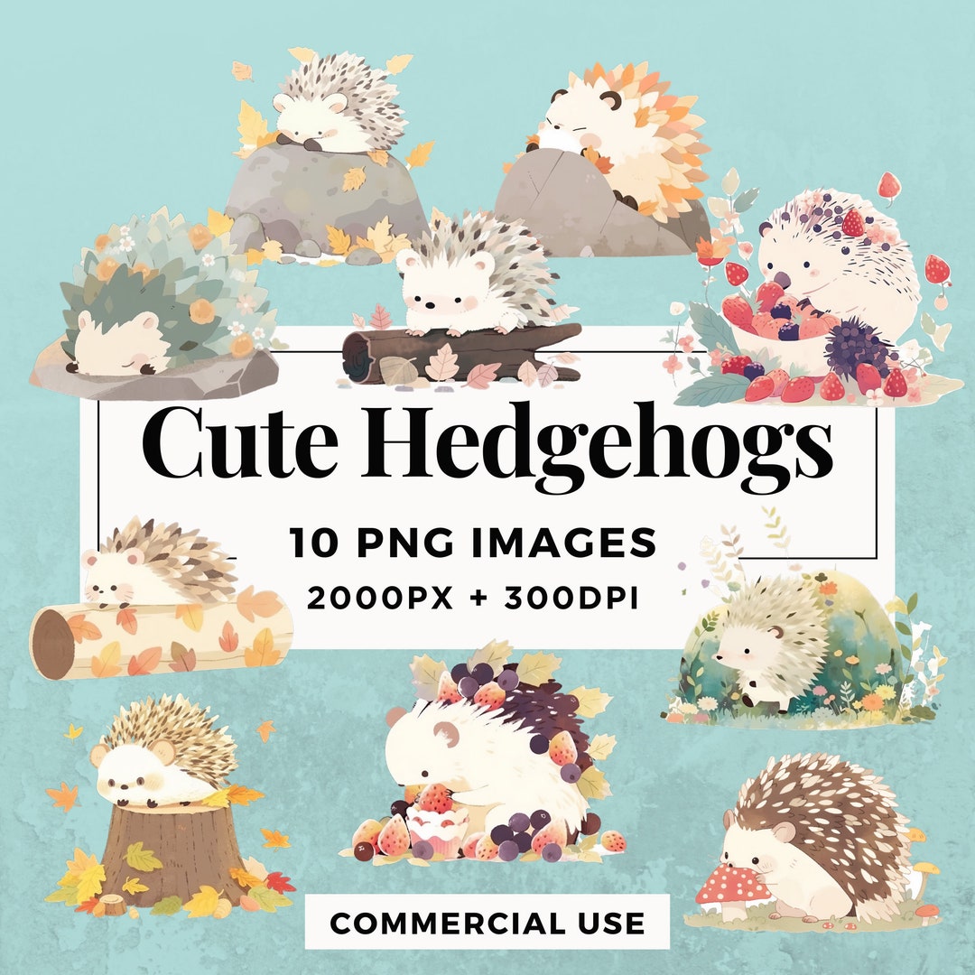 10 Cute Hedgehogs Clipart Pack INSTANT DOWNLOAD 10 Hedgehog ...