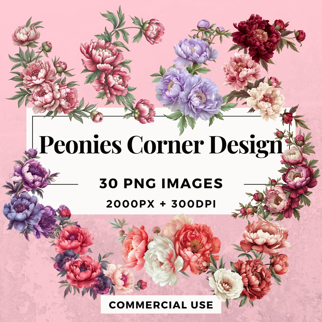 30 Peonies Corner Design Clipart Pack INSTANT DOWNLOAD 30 Peony Corner ...