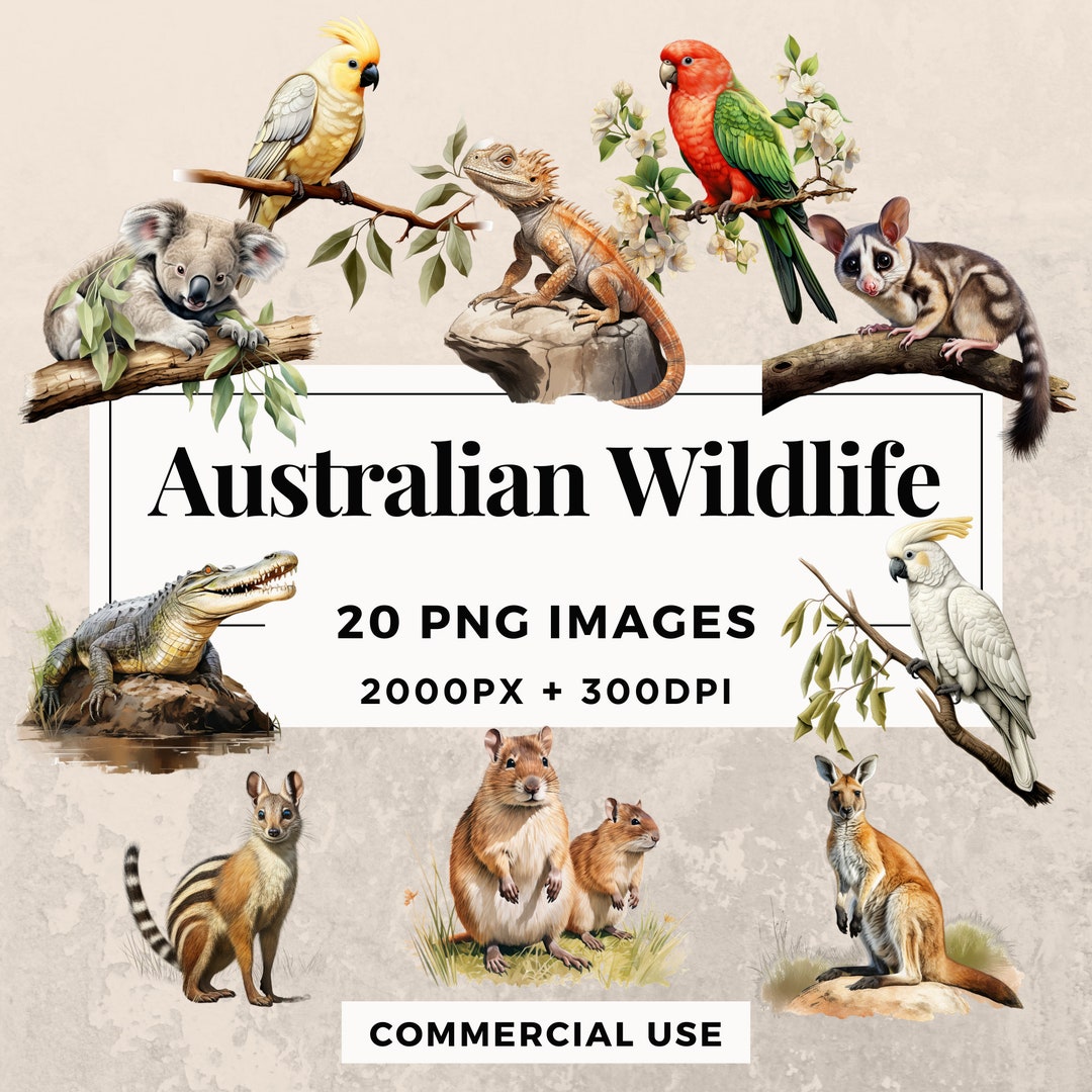 20 Australian Wildlife Clipart Pack INSTANT DOWNLOAD 20 Aussie Wildlife ...