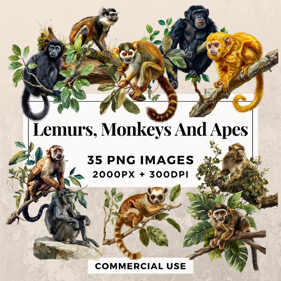 35 Lemurs, Monkeys, and Apes Clipart Pack - INSTANT DOWNLOAD, PNG ...