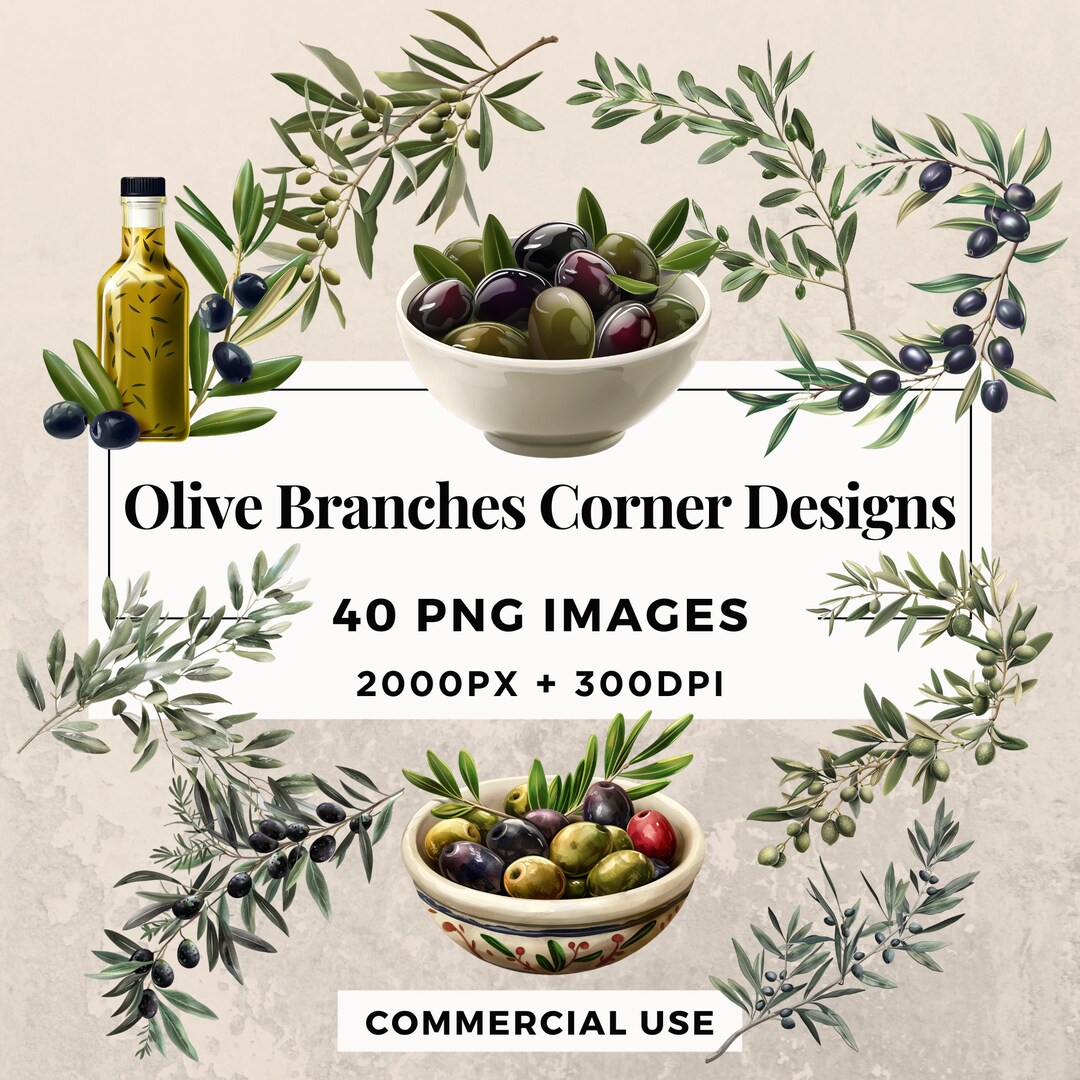 40 Olive Branches Corner Designs Clipart Pack - INSTANT DOWNLOAD, PNG ...
