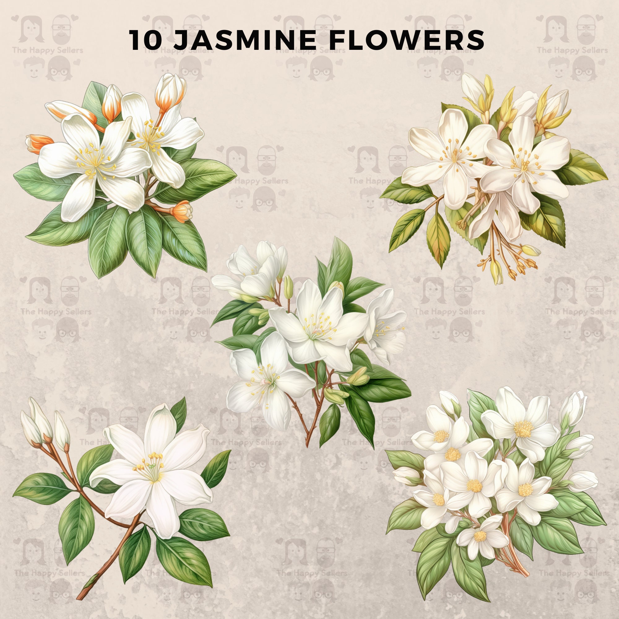 10 Jasmine Flowers #2 Clipart Pack INSTANT DOWNLOAD 10 Delicate Floral ...