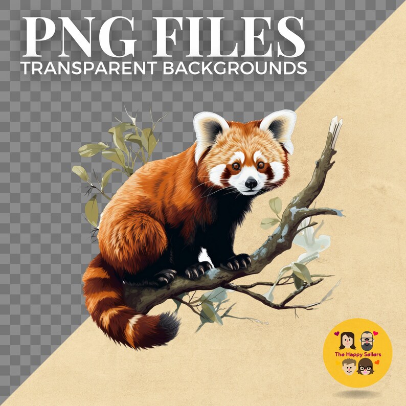 10 Red Pandas Clipart Pack INSTANT DOWNLOAD 10 Red Panda Illustrations ...