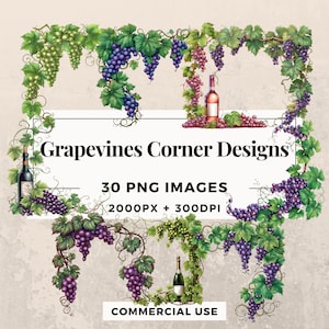 30 Grapevines Corner Designs Clipart Pack - INSTANT DOWNLOAD, PNG ...