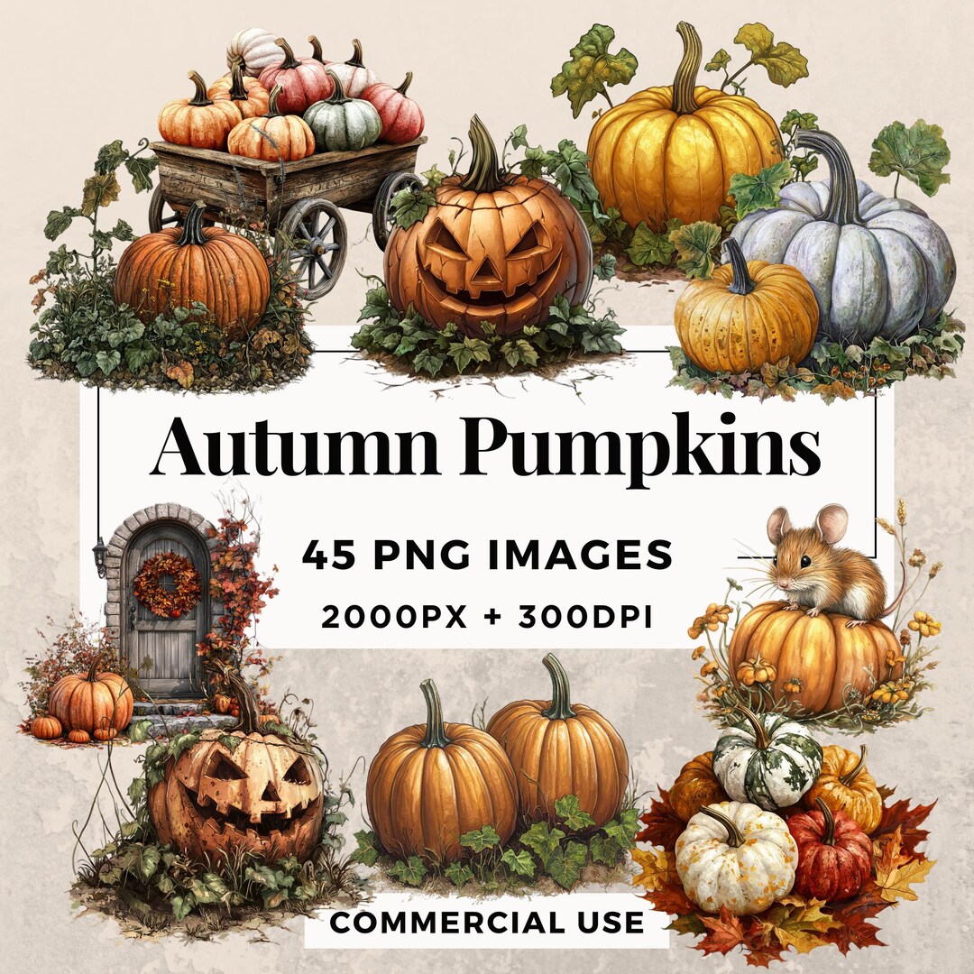 45 Autumn Pumpkins Clipart Pack INSTANT DOWNLOAD 45 Pumpkin ...