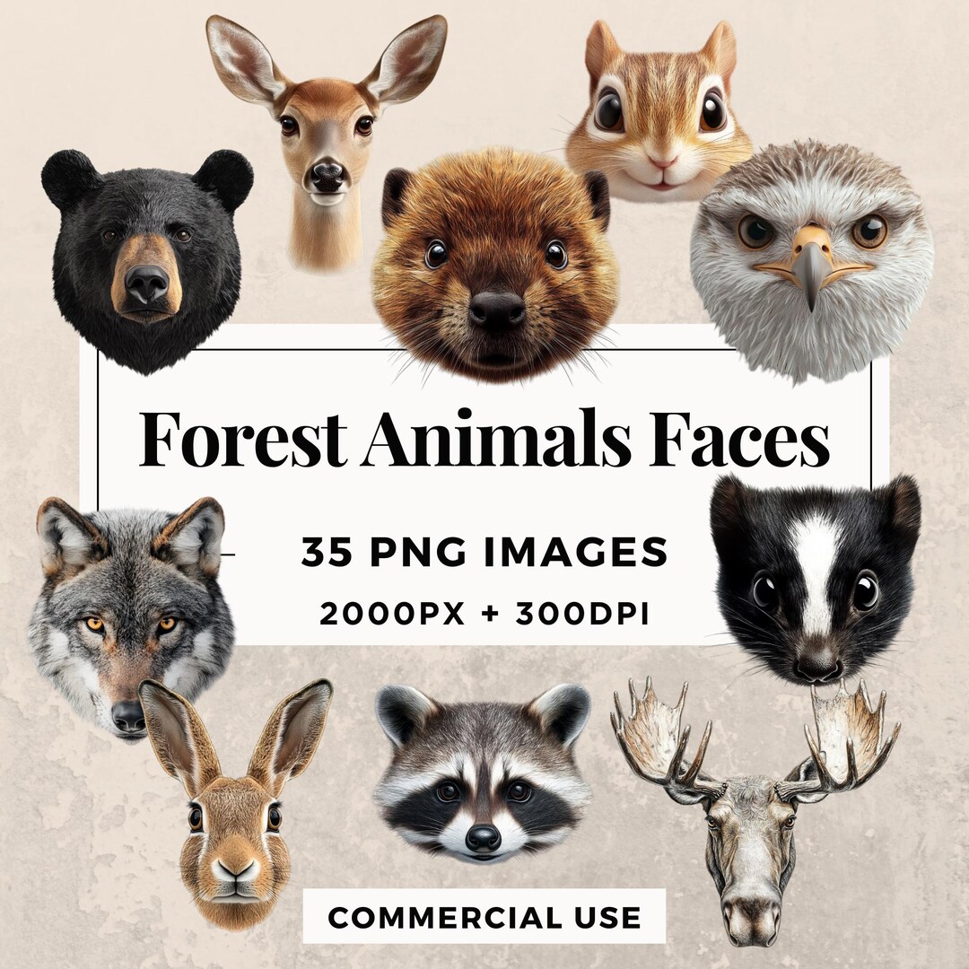 35 Forest Animals Faces Clipart Pack INSTANT DOWNLOAD 35 Cute Animal ...
