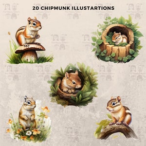 20 Chipmunk Clipart Pack INSTANT DOWNLOAD 20 Adorable Chipmunk ...