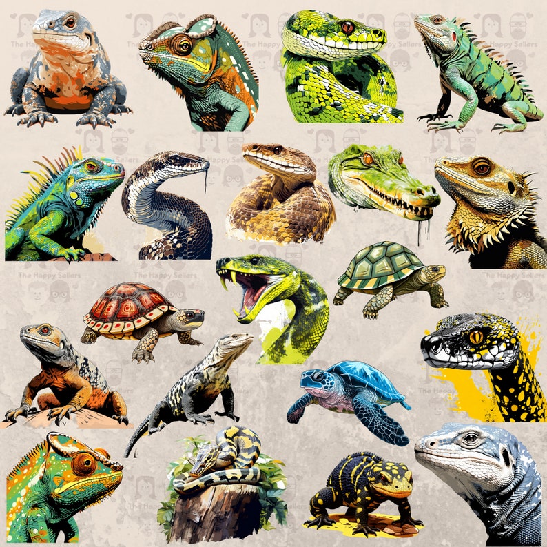 80 Reptiles Clipart Pack INSTANT DOWNLOAD 80 Diverse Reptile ...