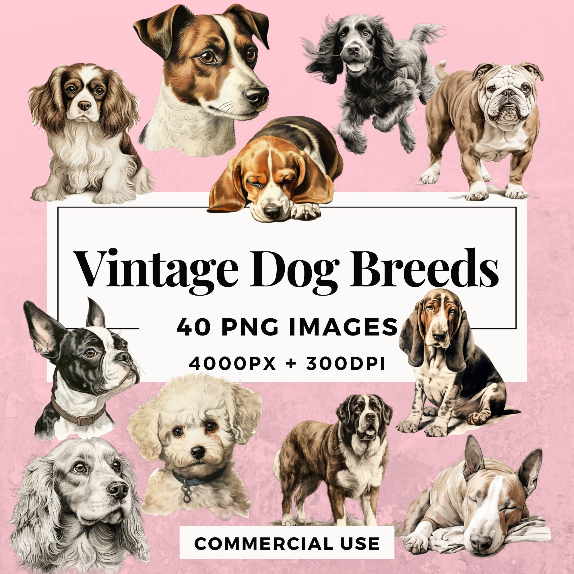 40 Vintage Dog Breeds Clipart Pack INSTANT DOWNLOAD Classic - Etsy