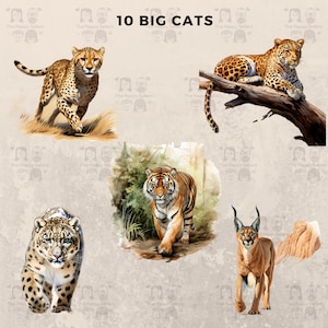 10 Big Cats Clipart Pack INSTANT DOWNLOAD 10 Majestic Big Cat ...