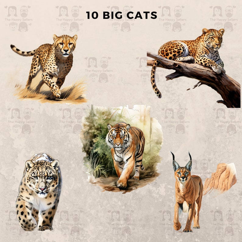 10 Big Cats Clipart Pack INSTANT DOWNLOAD 10 Majestic Big Cat Illustrations, PNG Transparent ...