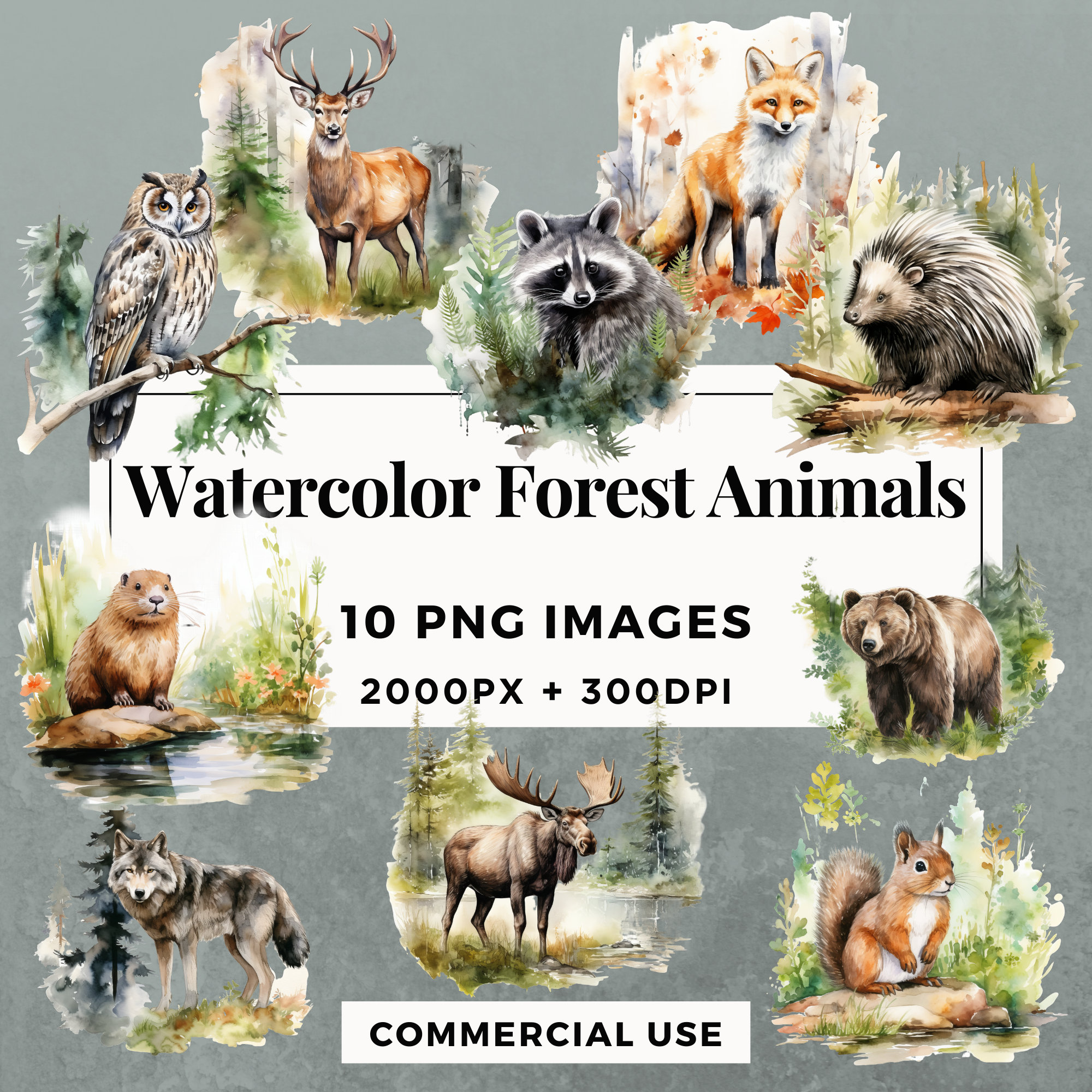 10 Watercolor Forest Animals Clipart Pack Instant Download, PNG Images ...