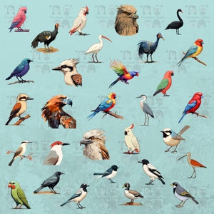 90 Birds of Australia Clipart Pack INSTANT DOWNLOAD 90 Exquisite Avian ...