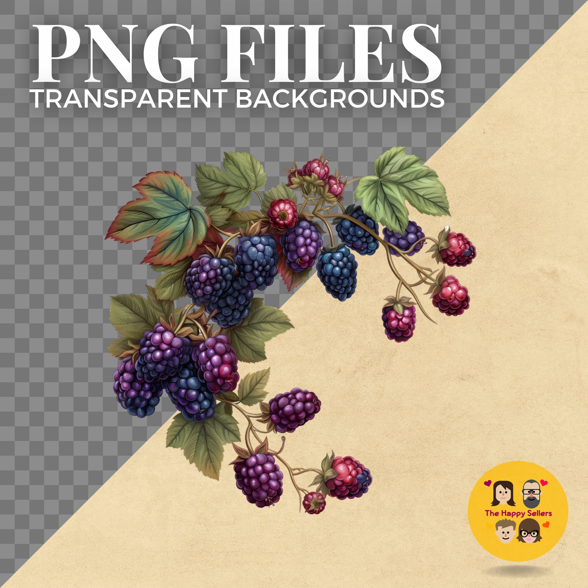 30 Berries Corner Design Clipart Pack INSTANT DOWNLOAD 30 Delightful ...