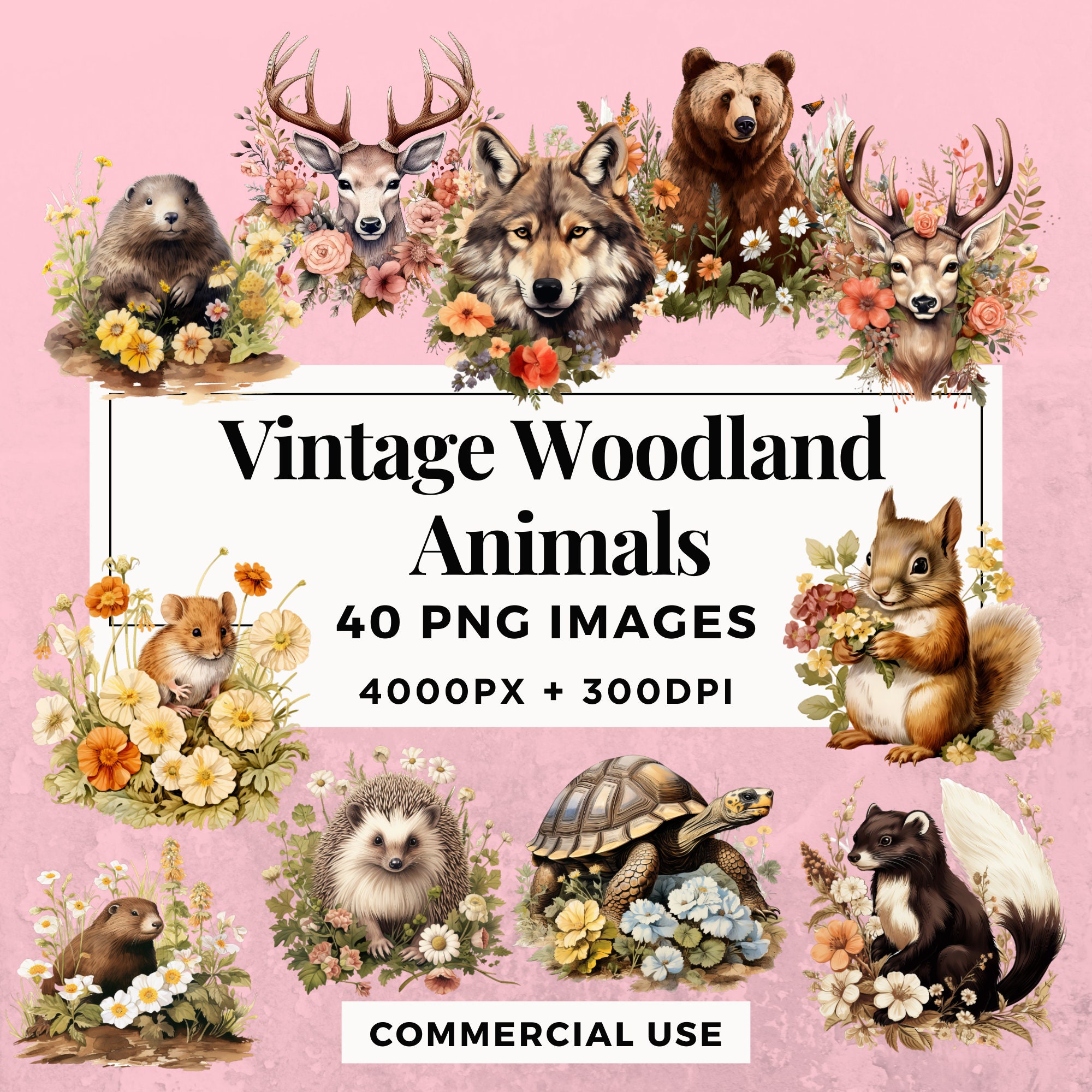 40 Vintage Woodland Animals Clipart Pack INSTANT DOWNLOAD - Etsy