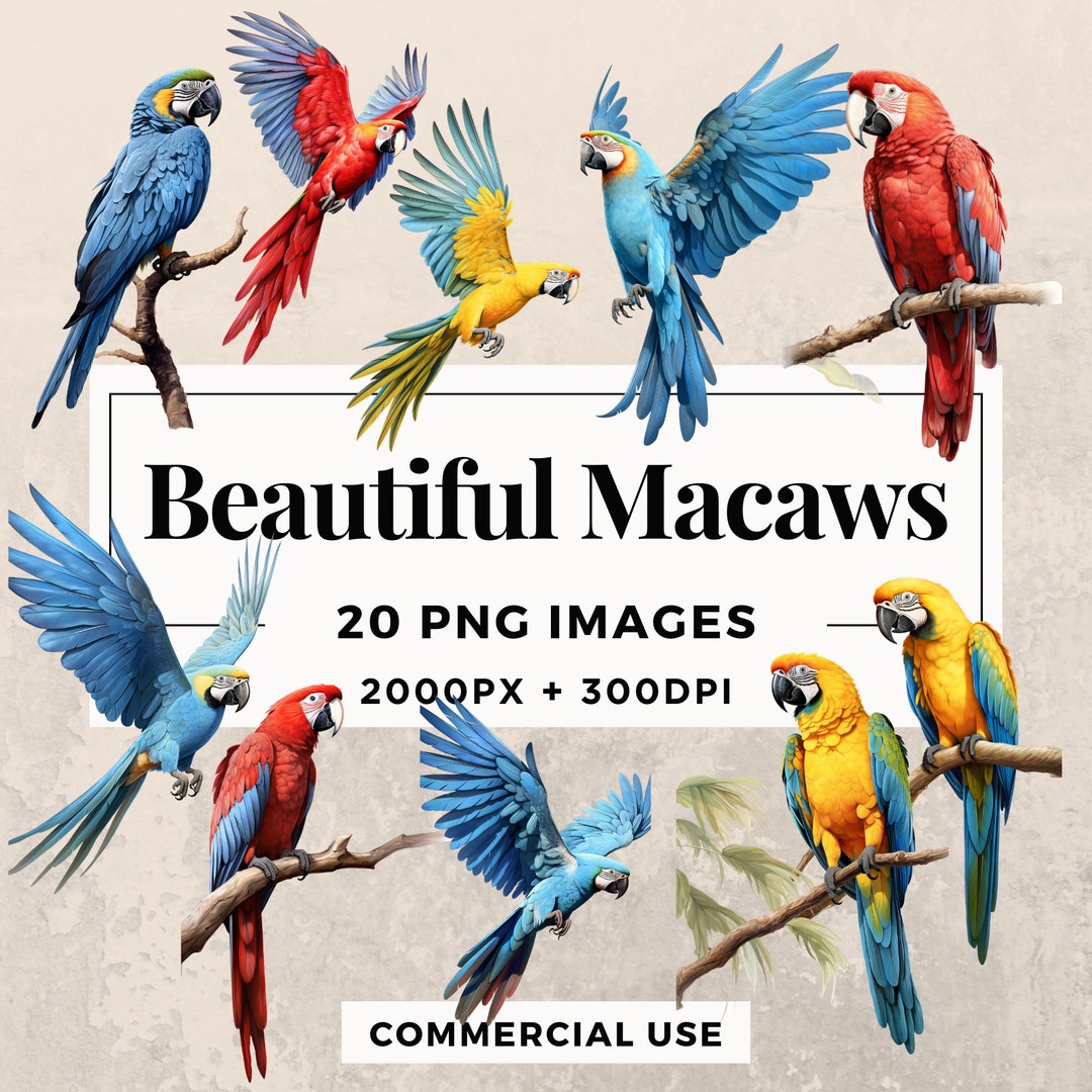 20 Beautiful Macaws Clipart Pack INSTANT DOWNLOAD 20 Vibrant ...