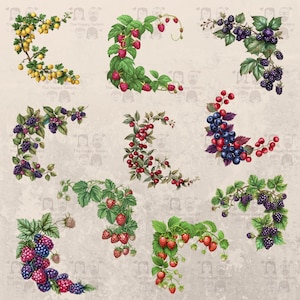 30 Berries Corner Design Clipart Pack INSTANT DOWNLOAD 30 Delightful ...
