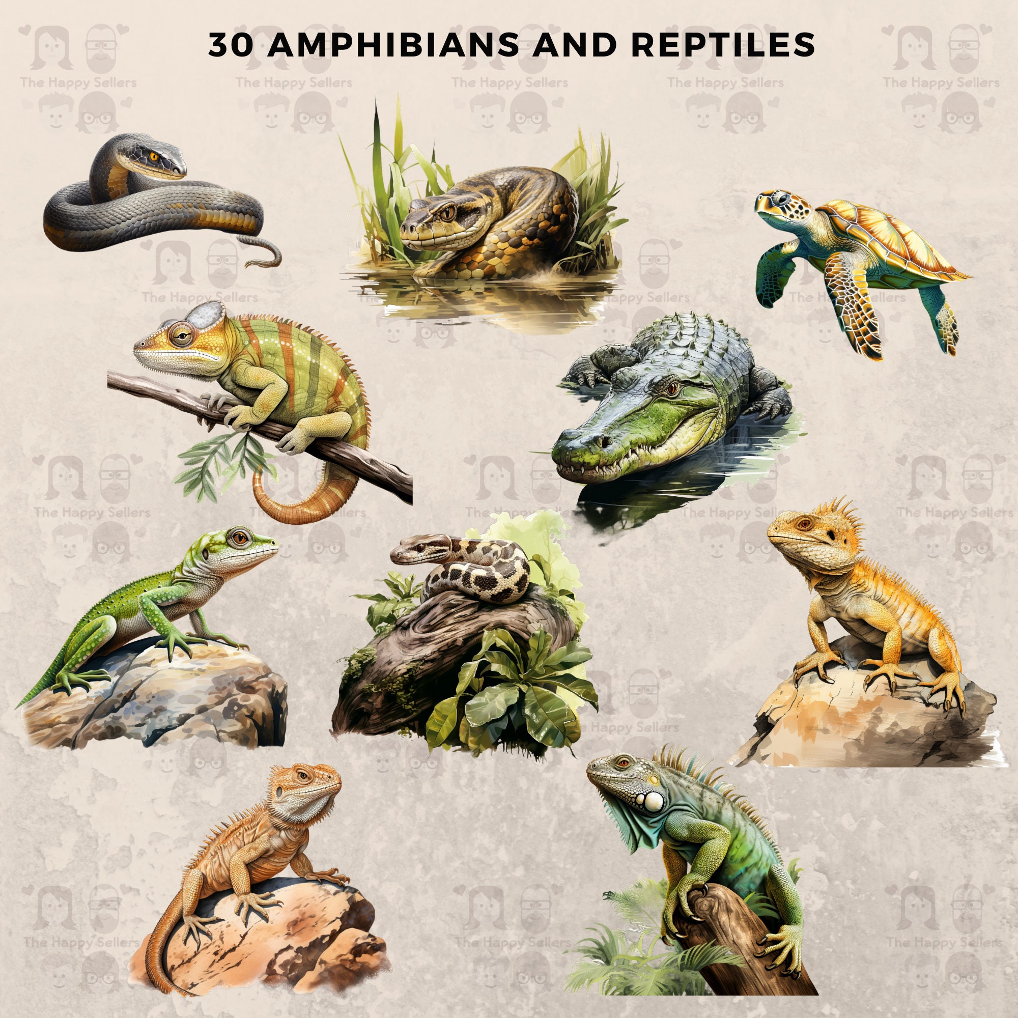 30 Amphibians and Reptiles Clipart Pack INSTANT DOWNLOAD, PNG ...