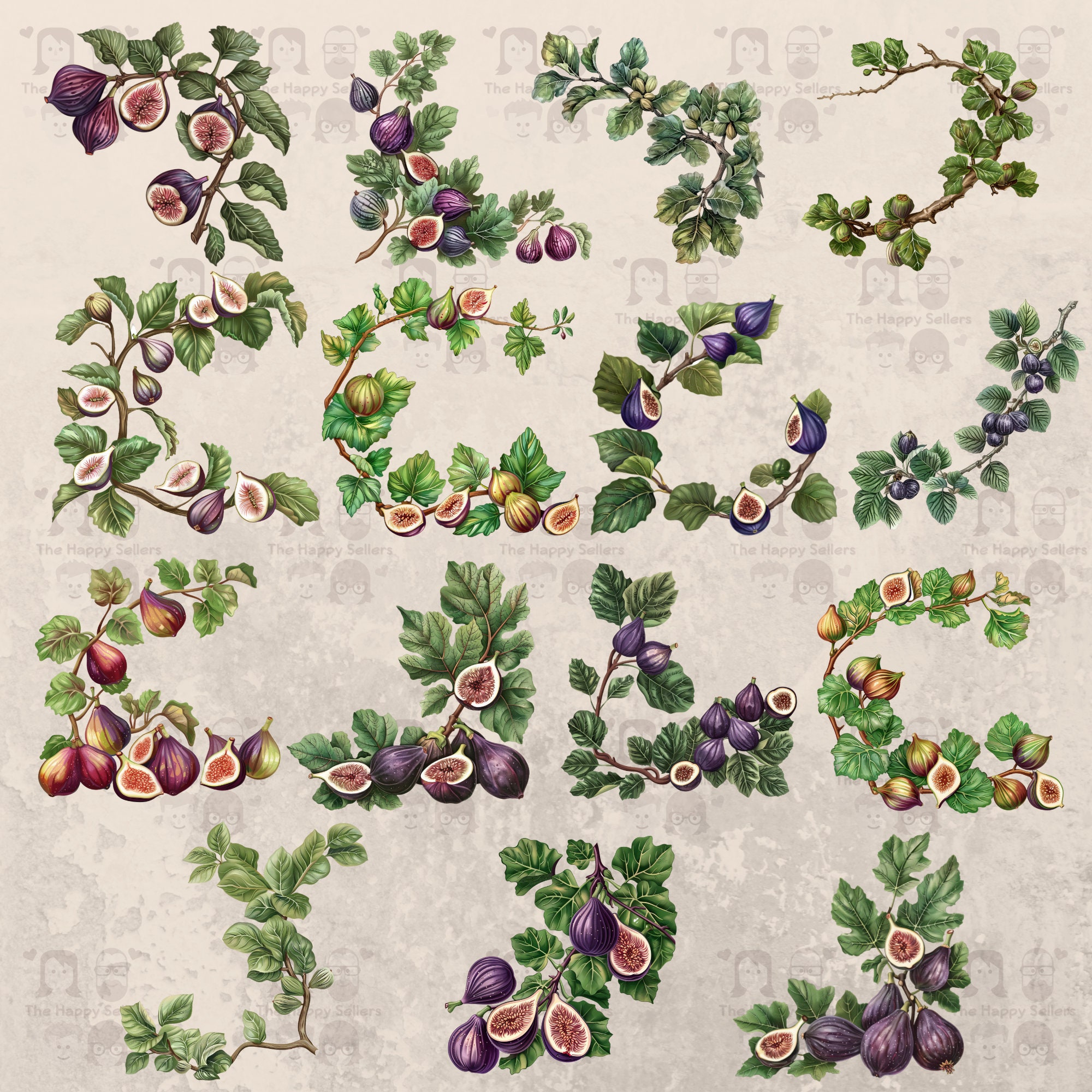 30 Figs Corner Designs Clipart Pack INSTANT DOWNLOAD 30 Elegant Fig ...