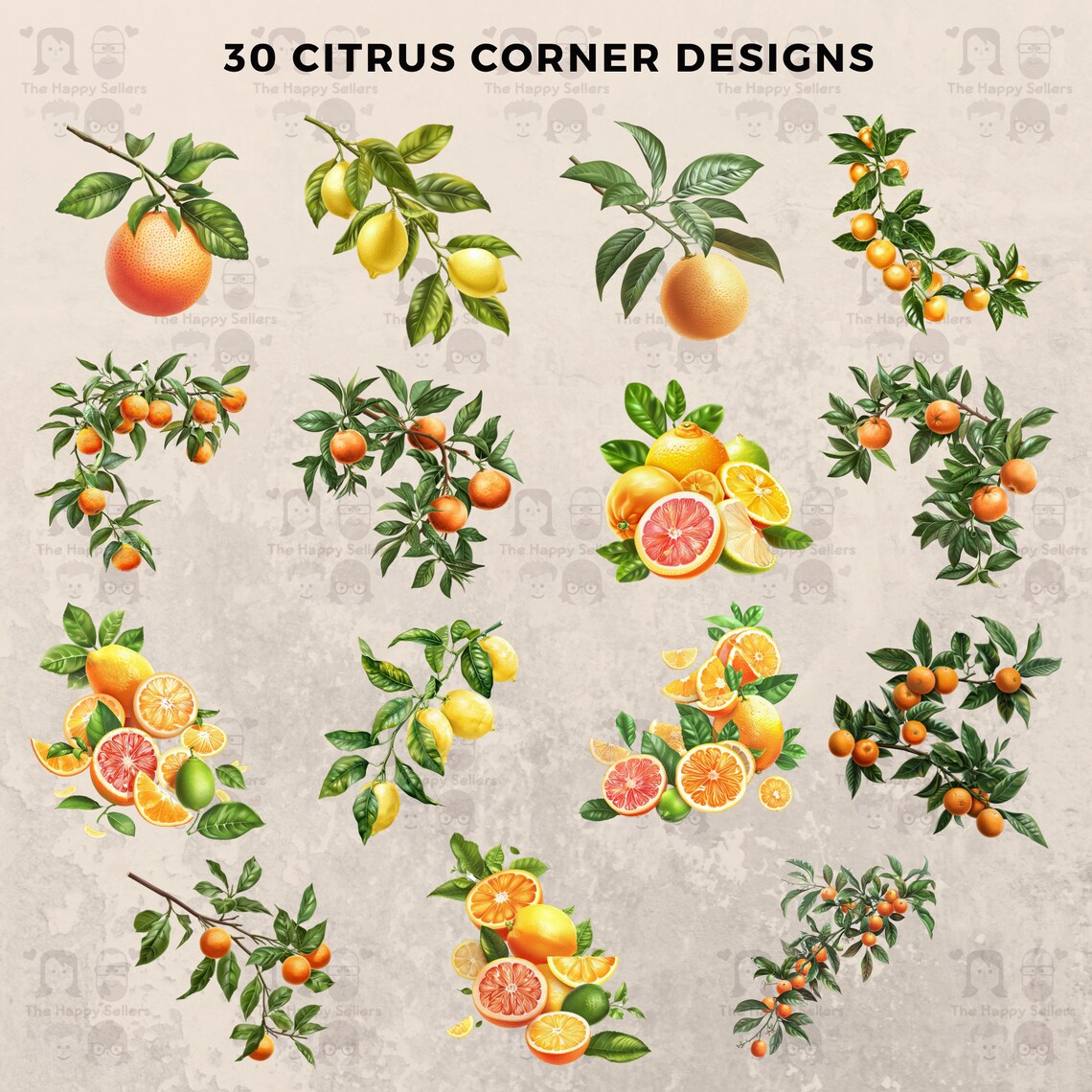 30 Citrus Corner Designs Clipart Pack - INSTANT DOWNLOAD, PNG ...