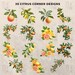 30 Citrus Corner Designs Clipart Pack - INSTANT DOWNLOAD, PNG ...