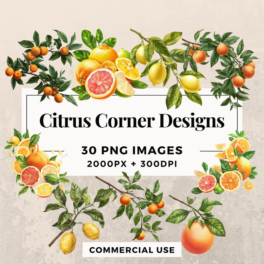 30 Citrus Corner Designs Clipart Pack - INSTANT DOWNLOAD, PNG ...
