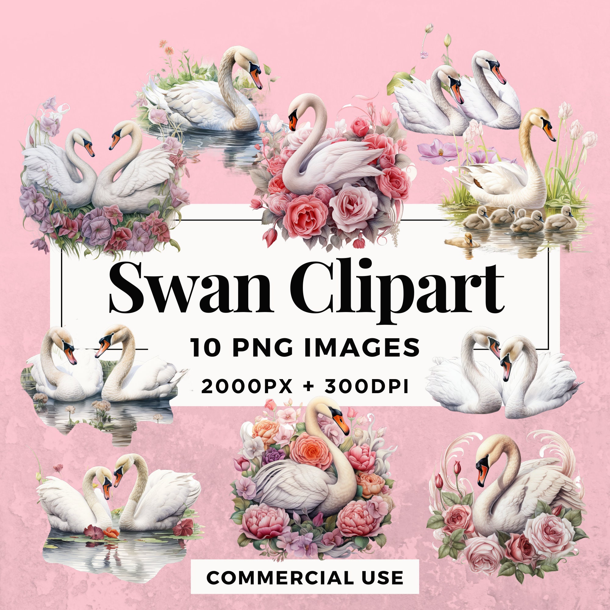 10 Swan Clipart Pack INSTANT DOWNLOAD 10 Graceful Swan Illustrations ...