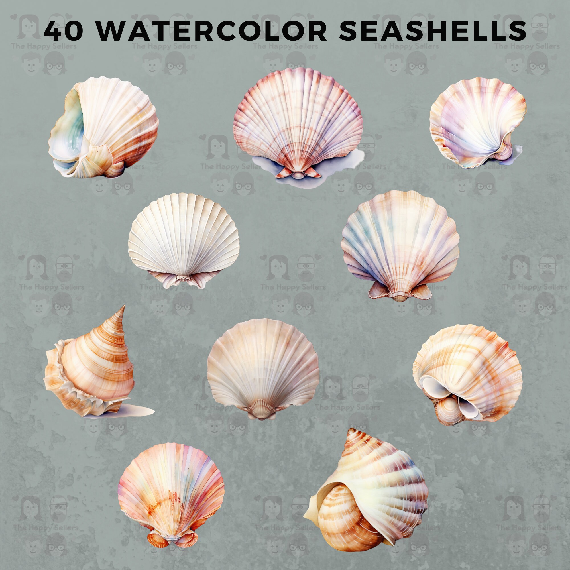 40 Watercolor Seashells Clipart Pack INSTANT DOWNLOAD - Etsy