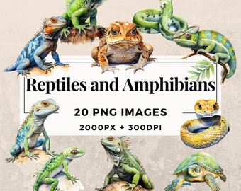 80 Reptiles Clipart Pack INSTANT DOWNLOAD 80 Diverse Reptile ...