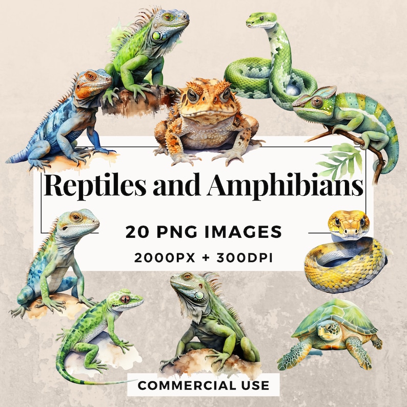 20 Reptiles and Amphibians Clipart Pack - Instant Download, PNG Images ...