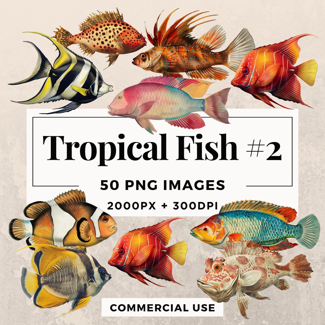 50 Tropical Fish #2 Clipart Pack INSTANT DOWNLOAD 50 Colorful Tropical ...