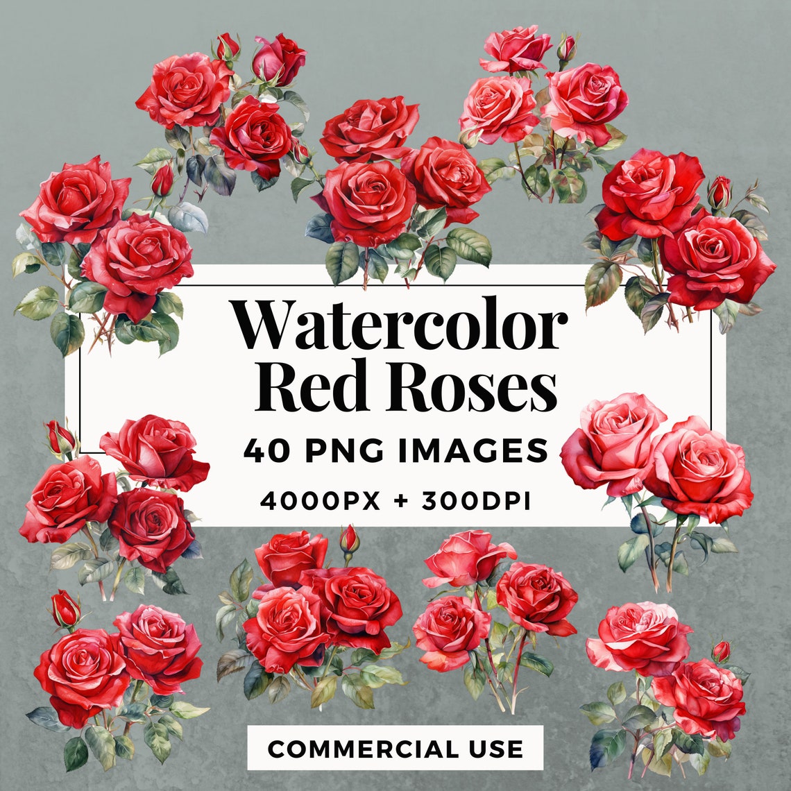 40 Watercolor Red Roses Clipart Pack INSTANT DOWNLOAD 40 - Etsy