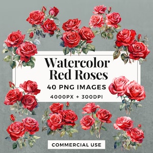 40 Watercolor Red Roses Clipart Pack INSTANT DOWNLOAD 40 Elegant Rose ...
