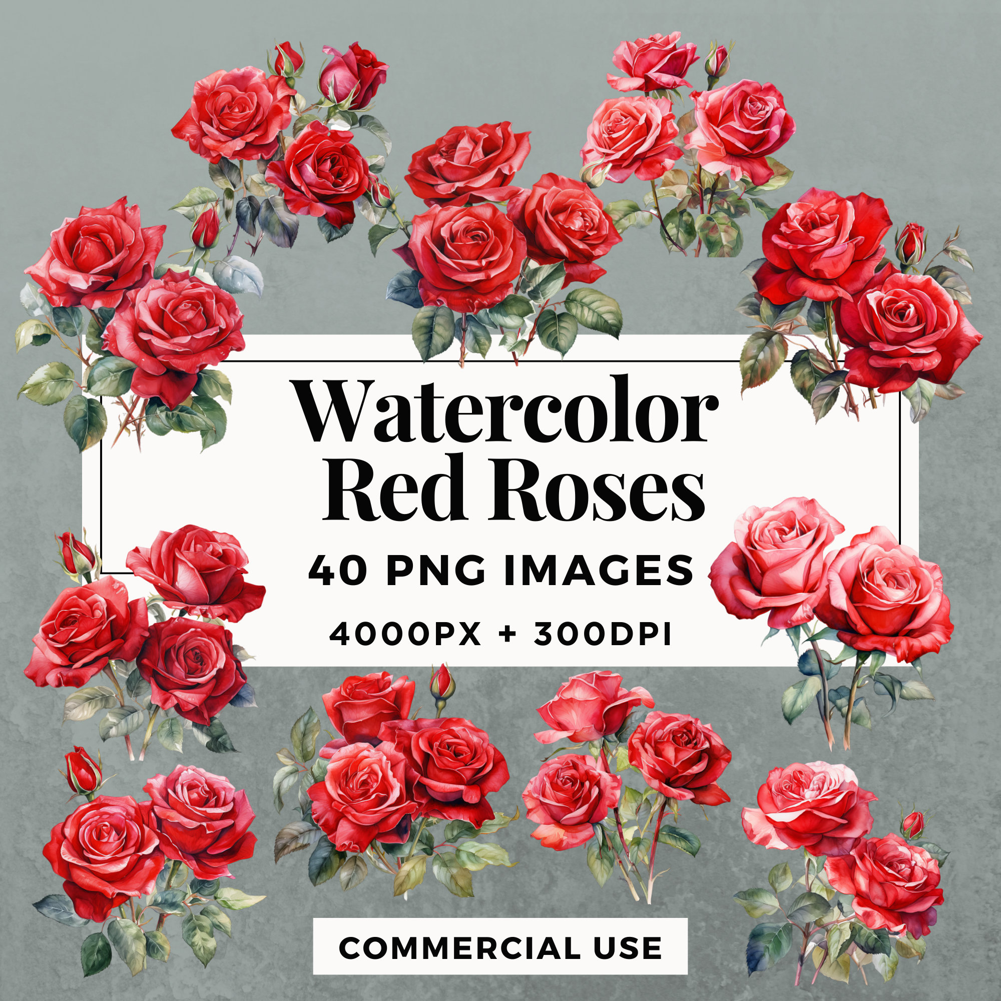 40 Watercolor Red Roses Clipart Pack INSTANT DOWNLOAD 40 - Etsy