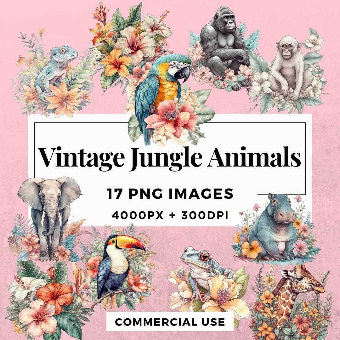 17 Vintage Jungle Animals Clipart Pack INSTANT DOWNLOAD 17 Jungle ...
