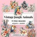 17 Vintage Jungle Animals Clipart Pack INSTANT DOWNLOAD 17 Jungle ...