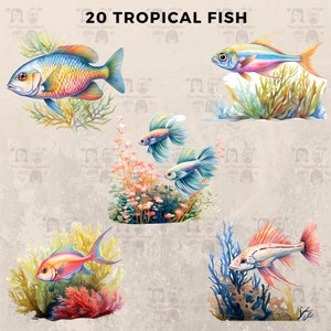 20 Tropical Fish Clipart Pack INSTANT DOWNLOAD 20 Tropical Fish ...