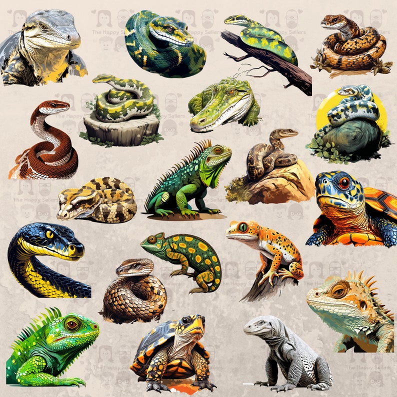 80 Reptiles Clipart Pack INSTANT DOWNLOAD 80 Diverse Reptile ...
