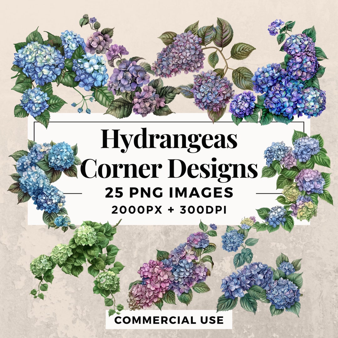 25 Hydrangeas Corner Designs Clipart Pack INSTANT DOWNLOAD 25 Elegant ...