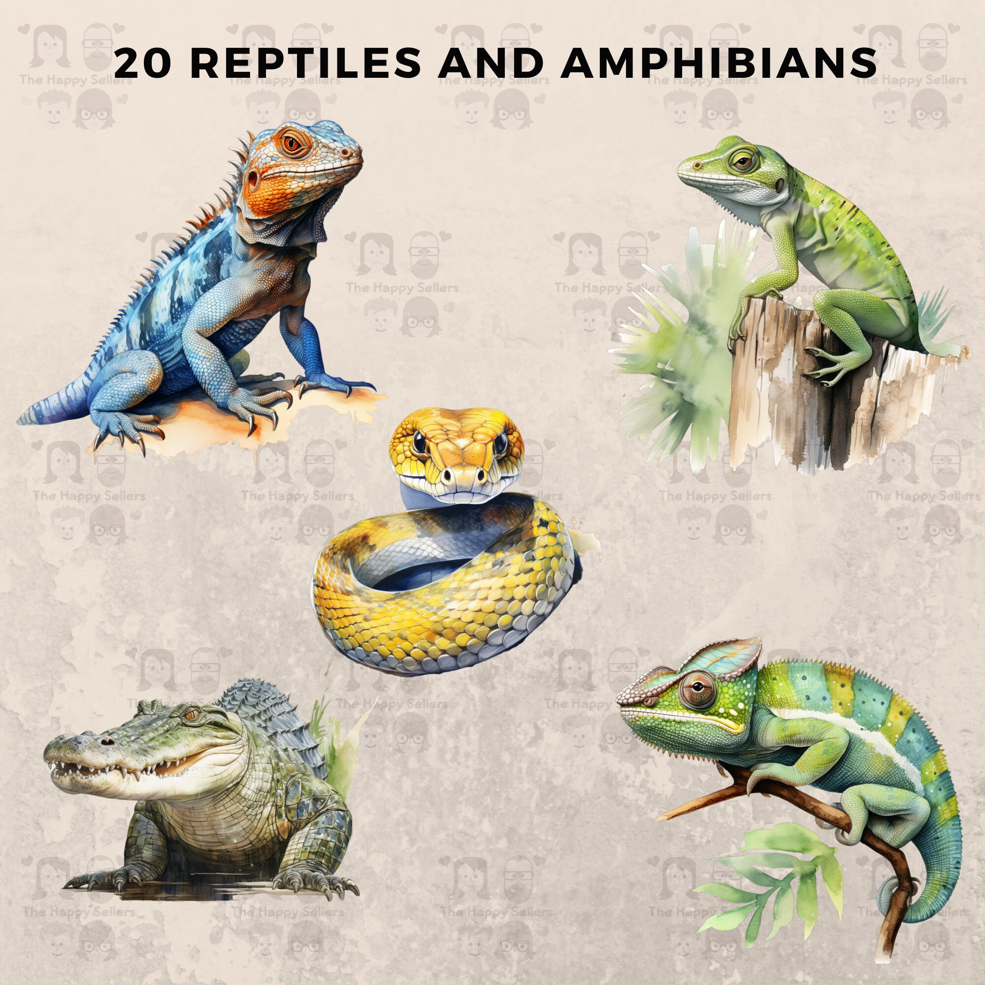 20 Reptiles and Amphibians Clipart Pack Instant Download, PNG Images ...