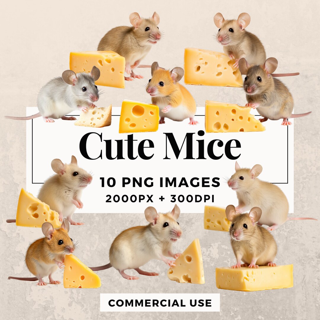 10 Cute Mice Clipart Pack INSTANT DOWNLOAD 10 Adorable Mouse ...