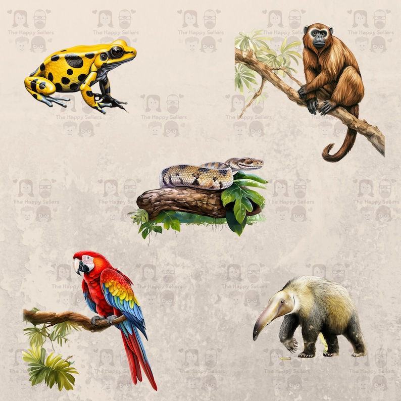 20 Rainforest Animals Clipart Pack INSTANT DOWNLOAD 20 Rainforest ...