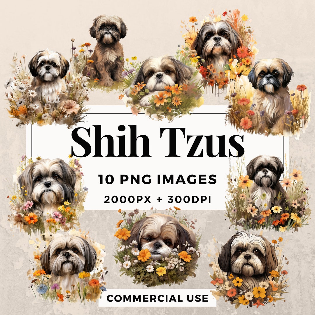 10 Shih Tzus Clipart Pack INSTANT DOWNLOAD 10 Shih Tzu Dog ...