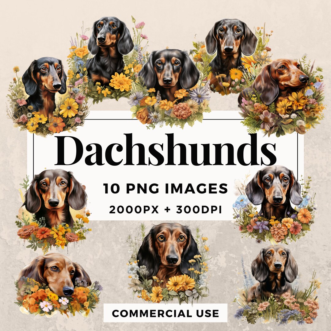 10 Dachshunds Clipart Pack INSTANT DOWNLOAD 10 Dachshund Illustrations ...