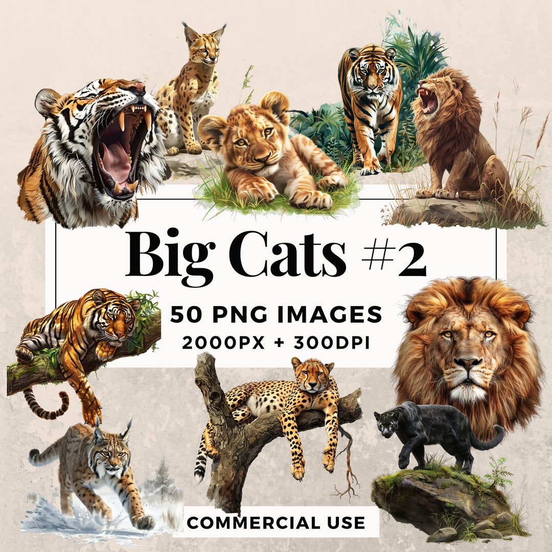 50 Big Cats #2 Clipart Pack INSTANT DOWNLOAD 50 Majestic Big Cat Illustrations, PNG Transparent ...